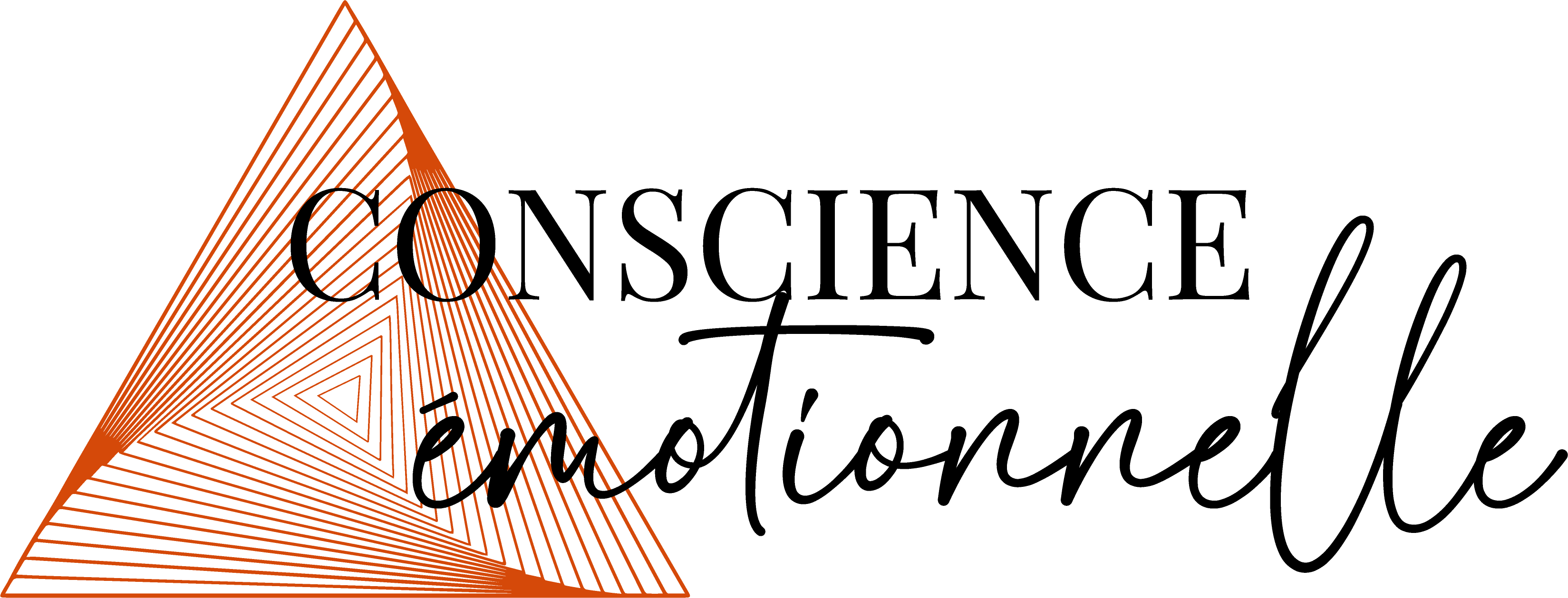 Accueil - Conscience Emotionnelle